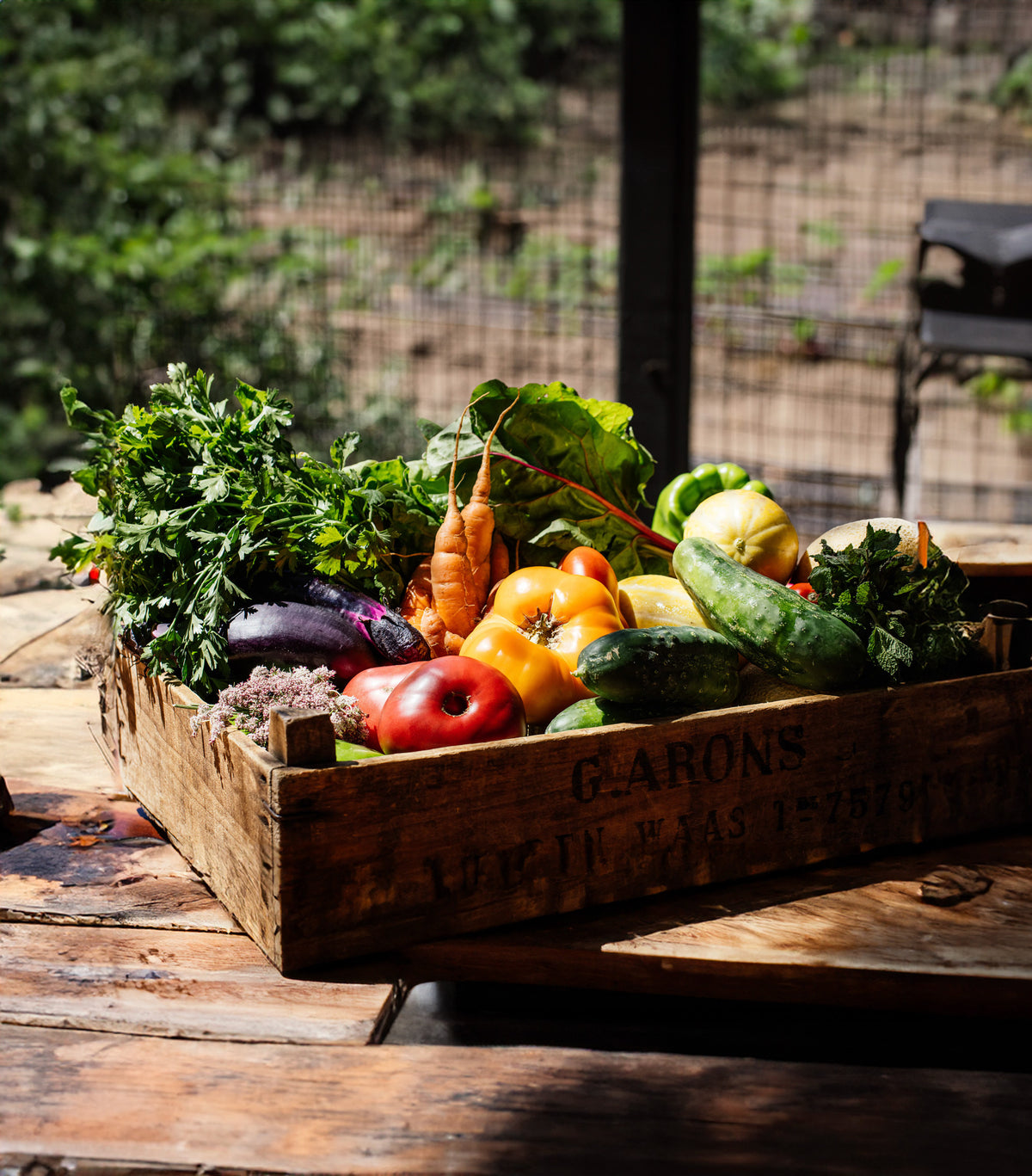 Golden Door Country Store | San Marcos